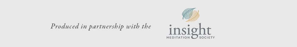 ims banner 1 - The Wisdom Experience