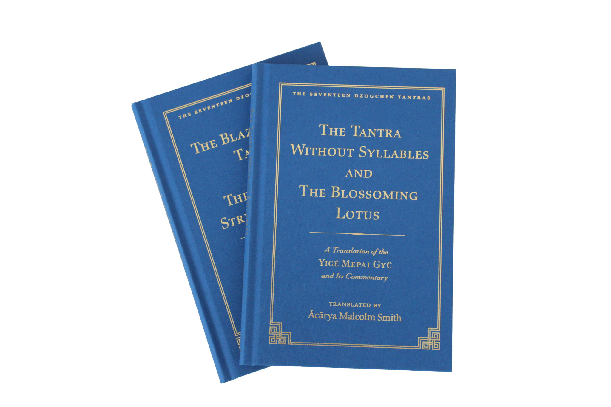 Home - The Wisdom Experience | Best Buddhist books, courses, & more