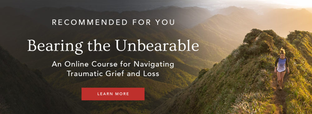 Bearing course banner - The Wisdom Experience