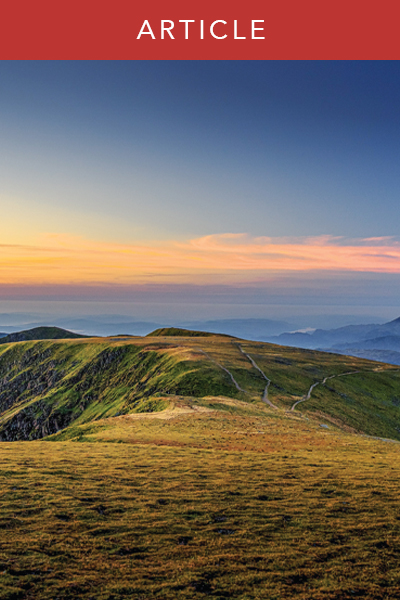 The Sacred Pause - The Wisdom Experience