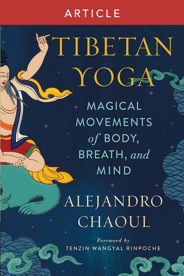 Why Magical Movement? - The Wisdom Experience