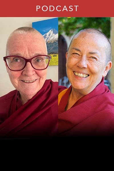 Shechen Rabjam Rinpoche: Spiritual Heir to a Tibetan Master - The ...