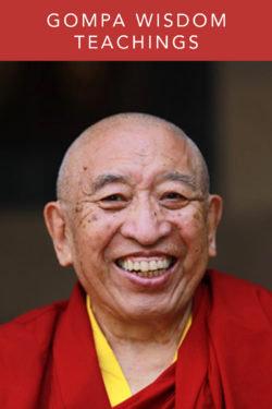 Shechen Rabjam Rinpoche: Spiritual Heir to a Tibetan Master - The ...