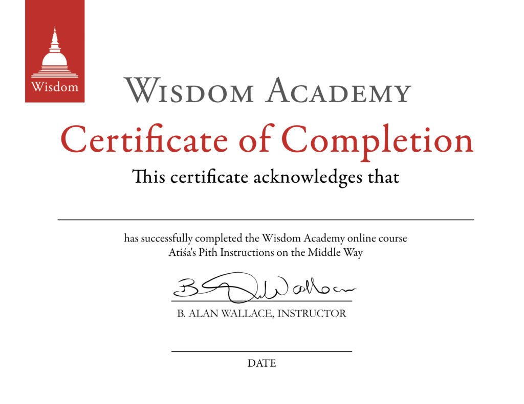 APMW Academy Certificate - The Wisdom Experience