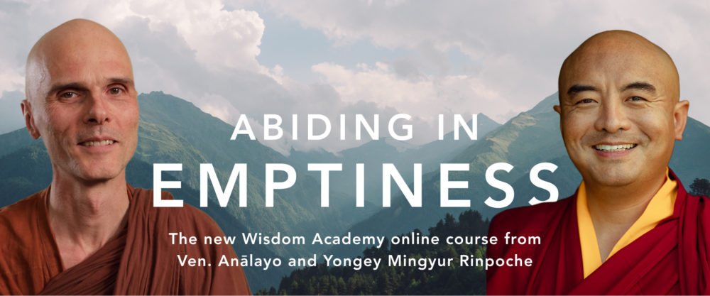 The Wisdom Academy - The Wisdom Experience