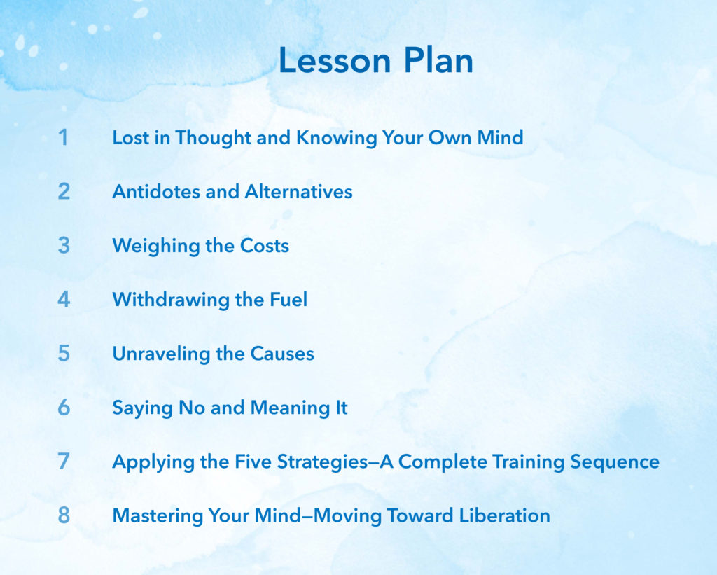 Beyond Distraction - The Wisdom Experience