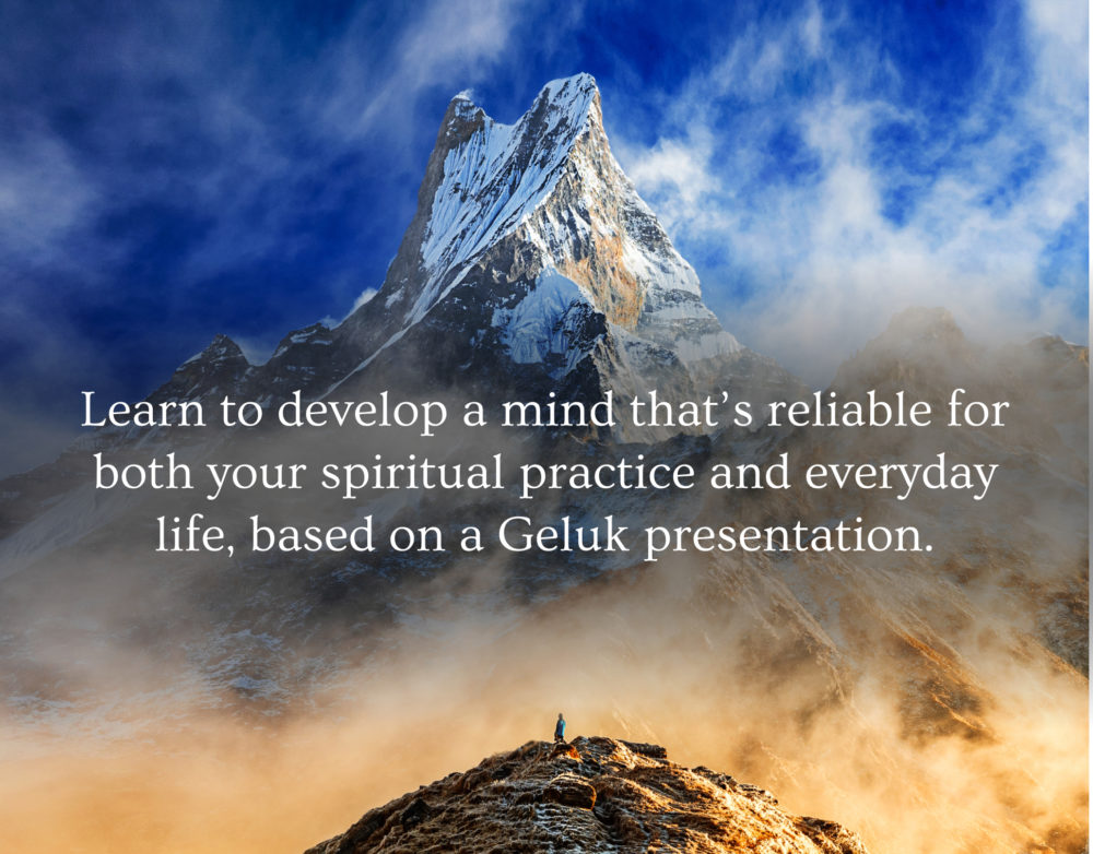 Freedom through Correct Knowing - The Wisdom Experience