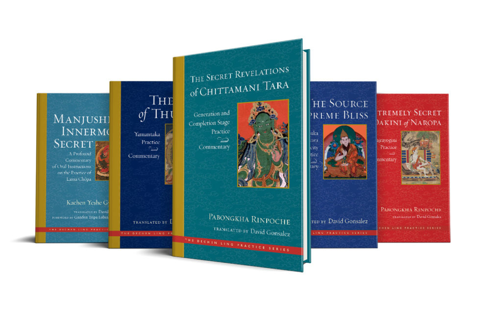 Dechen Ling Practice Series - The Wisdom Experience