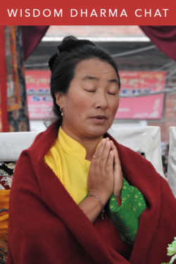 My Library - The Wisdom Experience