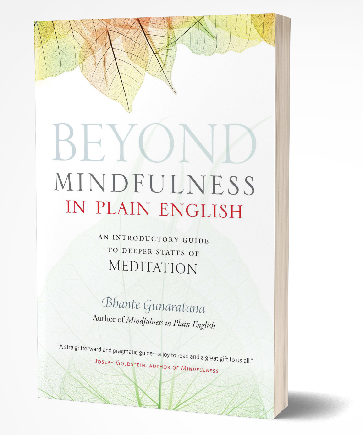 Bhante G - The Wisdom Experience