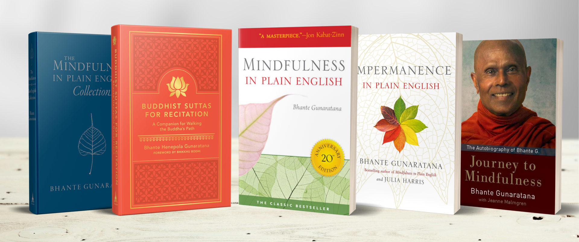 Bhante G - The Wisdom Experience