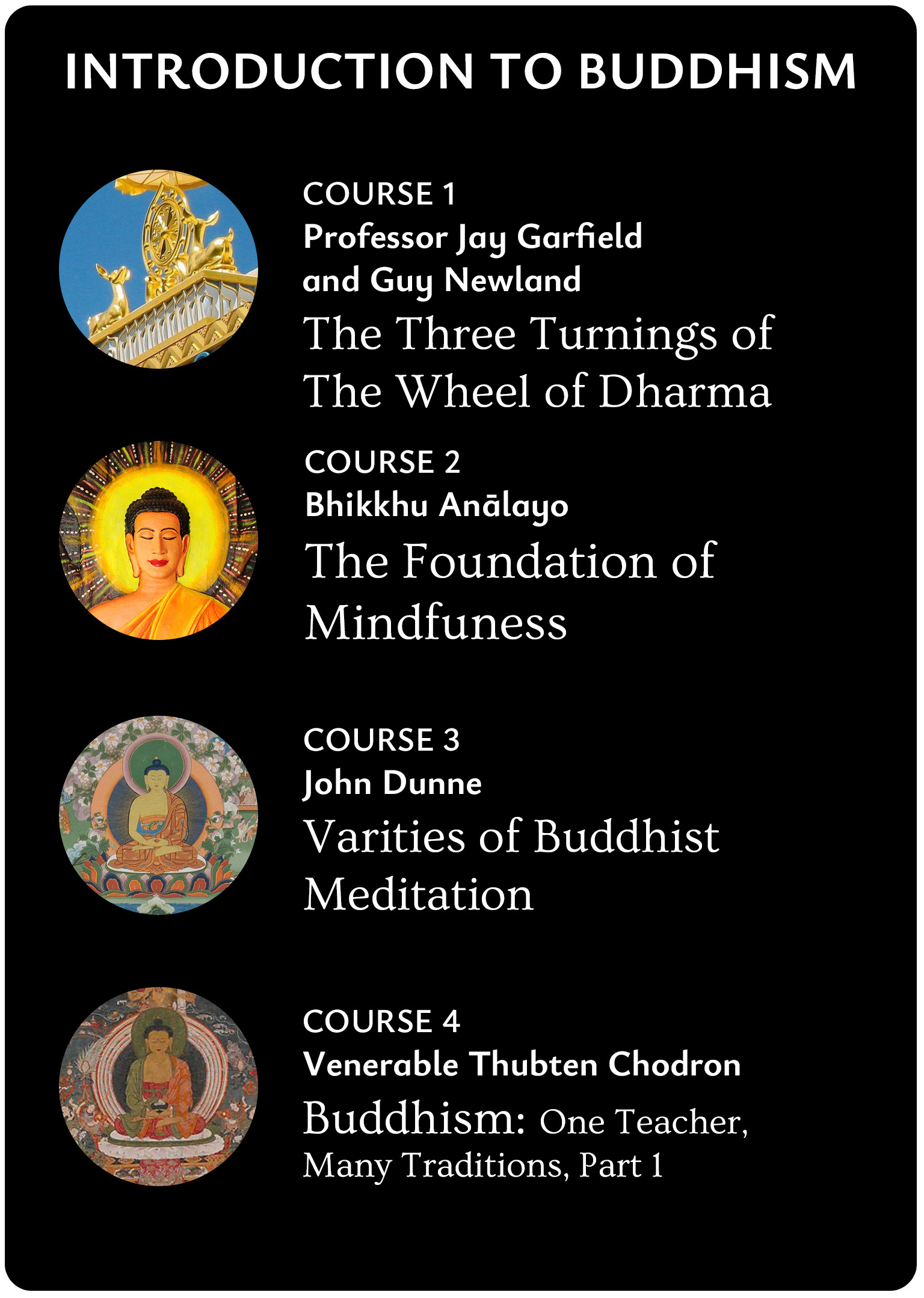 Welcome to In-Depth - The Wisdom Experience