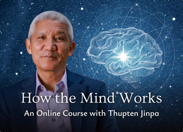 The Wisdom Academy - The Wisdom Experience