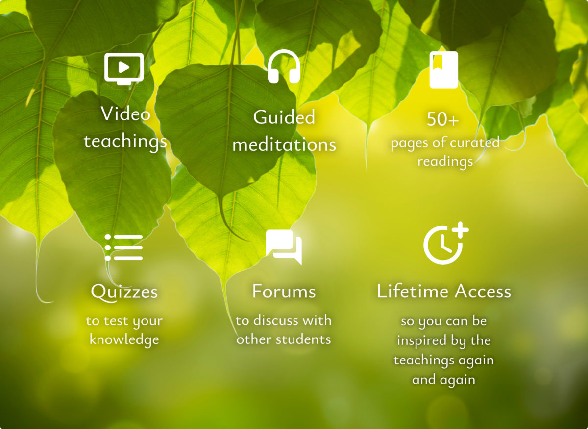 Mindfulness in Plain English - Online Course - The Wisdom Academy