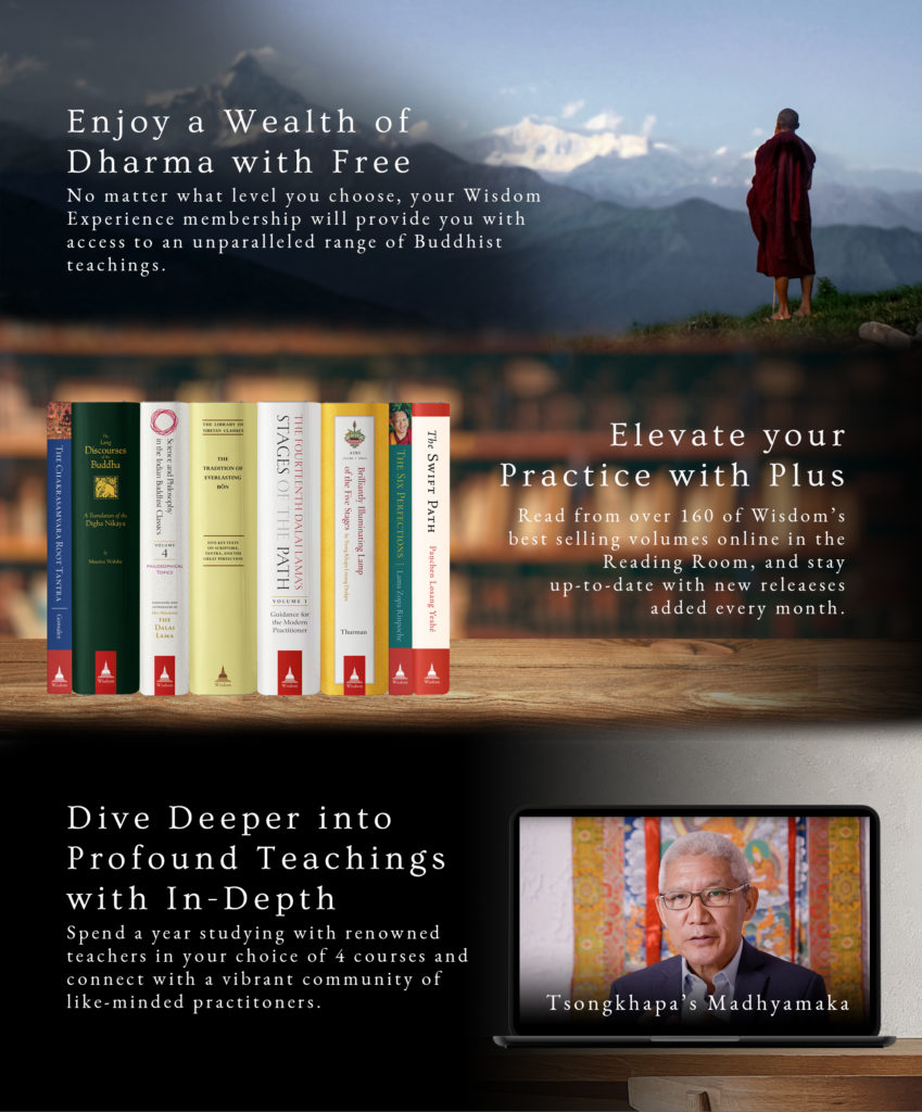 Wisdom Experience - The Wisdom Experience