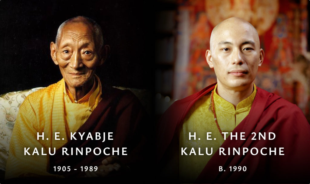Kalu Rinpoche | Illusory Body & Mind Online Course | Enroll Today
