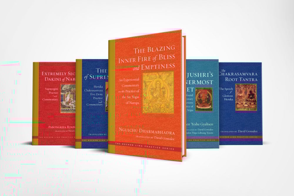 Dechen Ling Practice Series - The Wisdom Experience