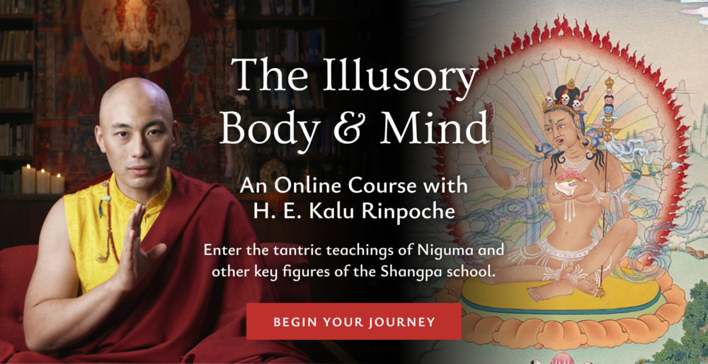 The Wisdom Academy | Buddhist Online Courses | Your Guide on the Path
