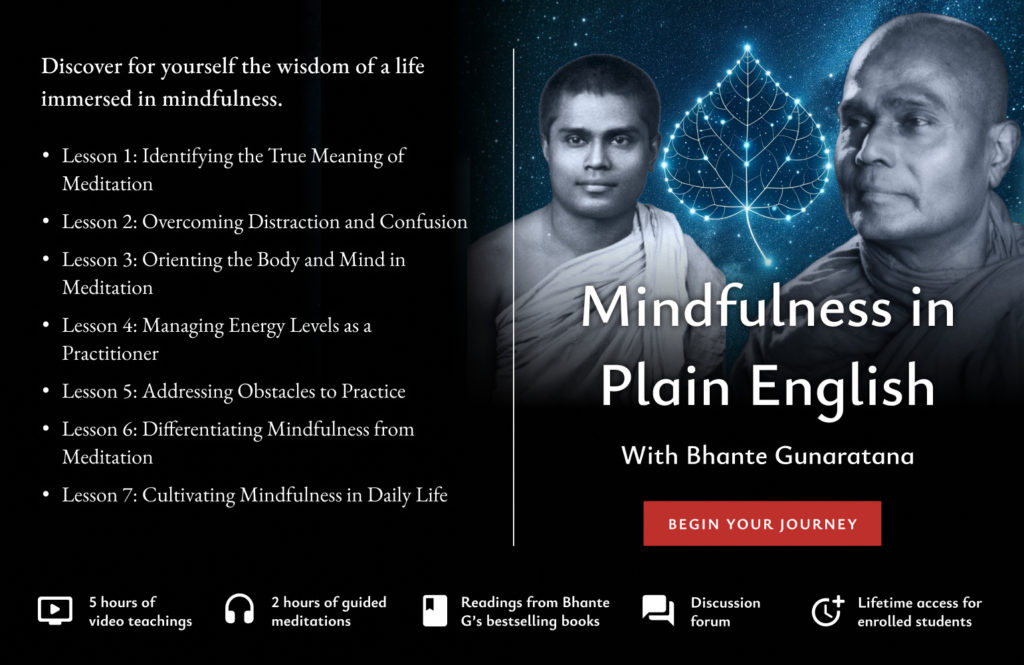 Mindfulness Day - The Wisdom Experience