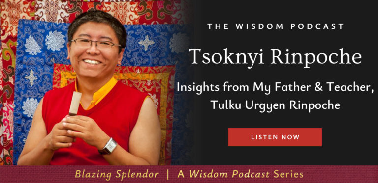 Tsoknyi Rinpoche: Insights from My Father and Teacher, Tulku Urgyen ...