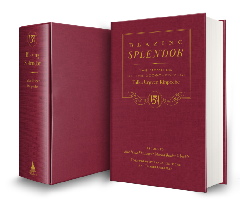 Home - The Wisdom Experience | Best Buddhist books, courses, & more