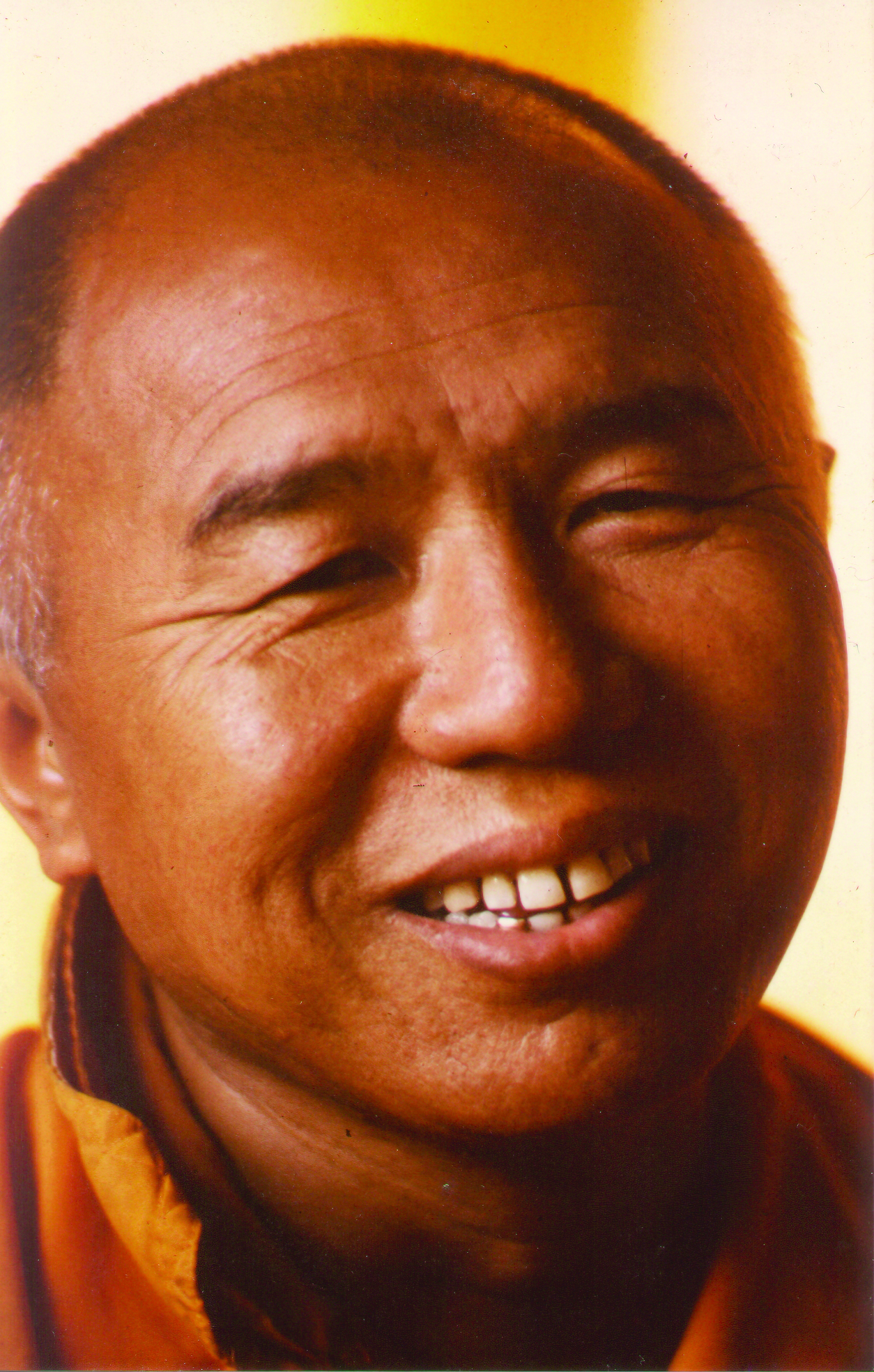 Home - The Wisdom Experience | Best Buddhist books, courses, & more