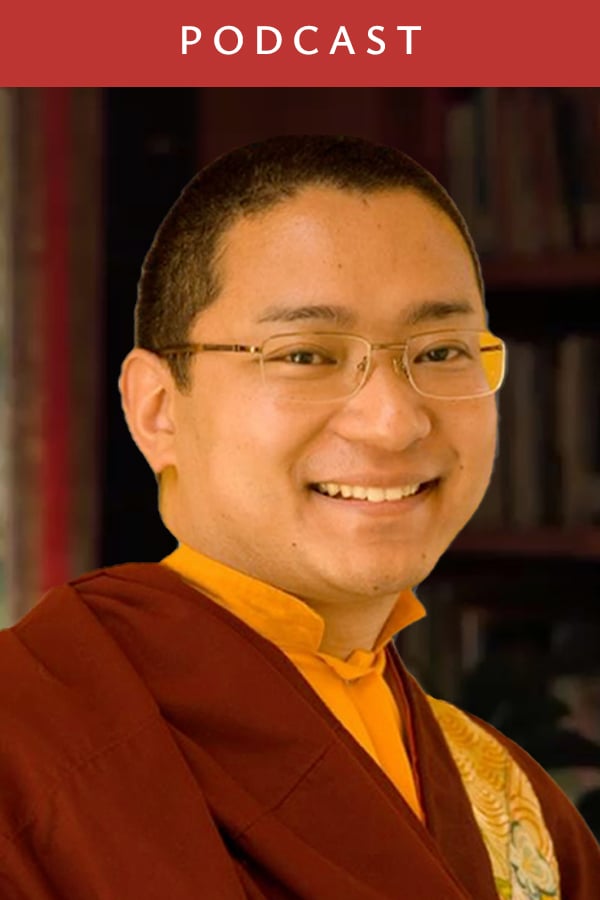 Khamtrul Rinpoche: Exploring the Drukpa Lineage - Special Video Episode ...
